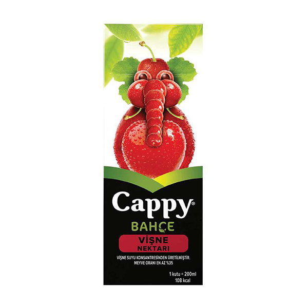 CAPPY VISNE MEYVE SUYU 200 ML